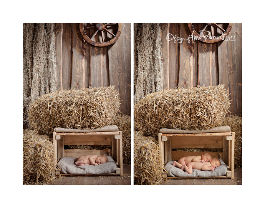 Vastsündinud kaksikud fotostuudios pildistamas - Fotostuudio Fotopesa