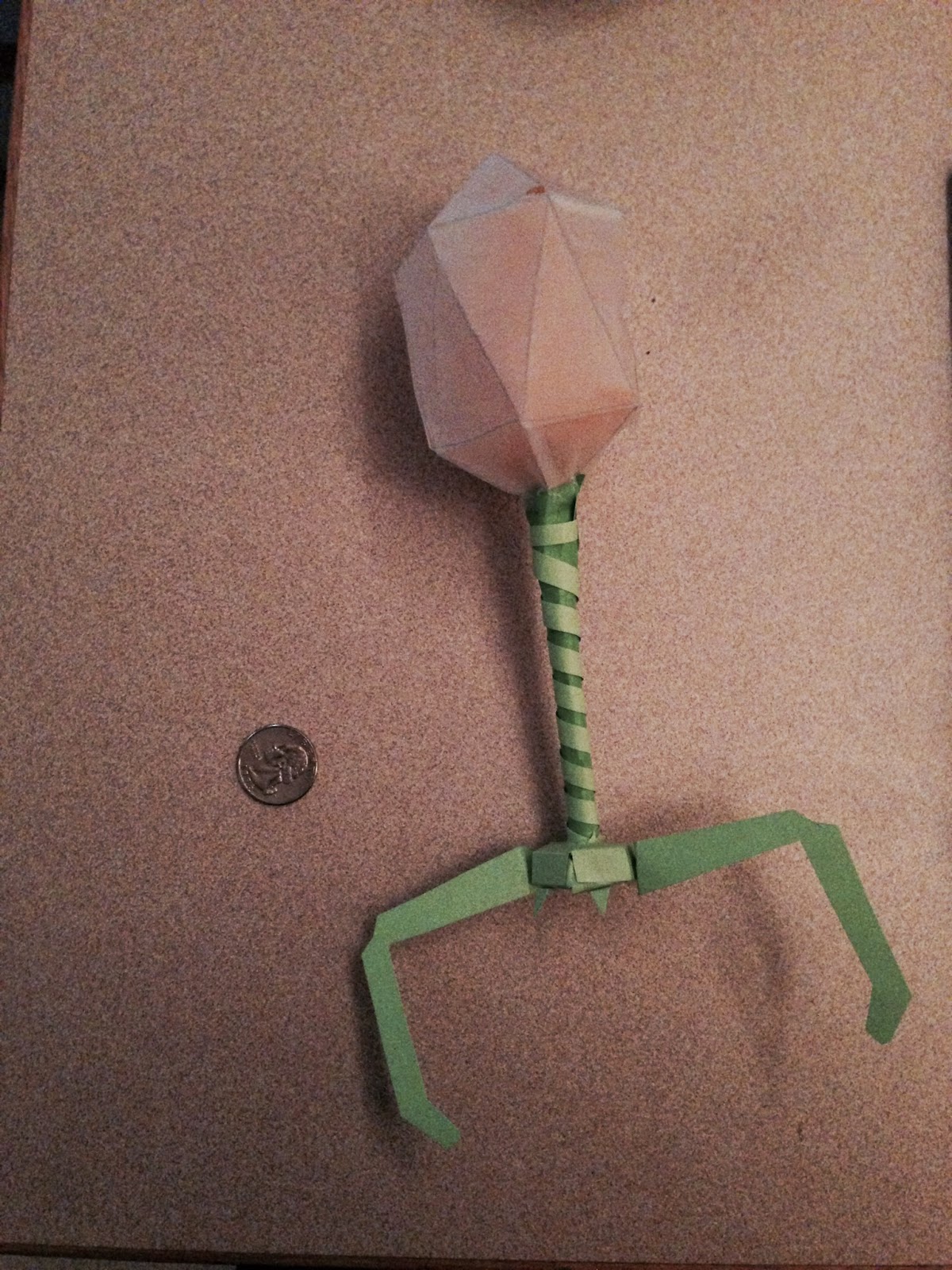 All Creatures Great AND Small: Preaching Microbial Centrism ...