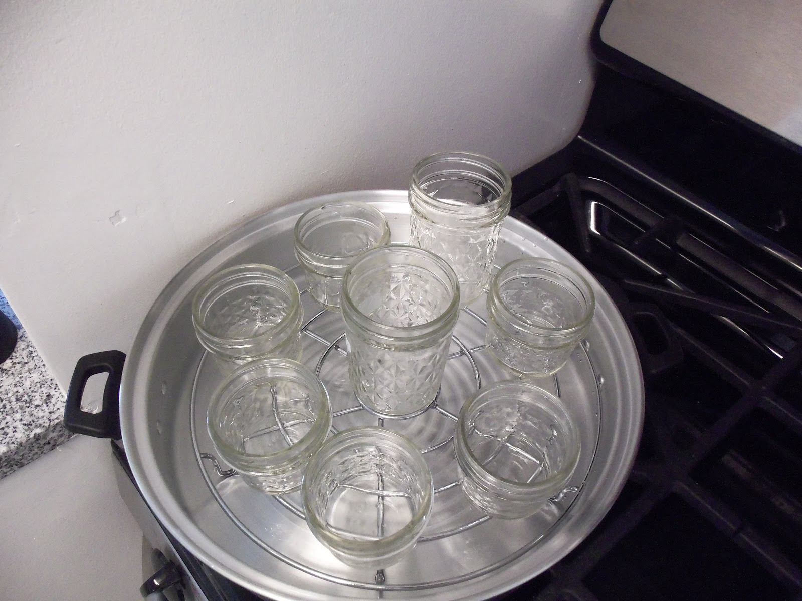 Farm to Jar: The Jersey City Farmers' Markets Exploration, #1 Hamilton Park