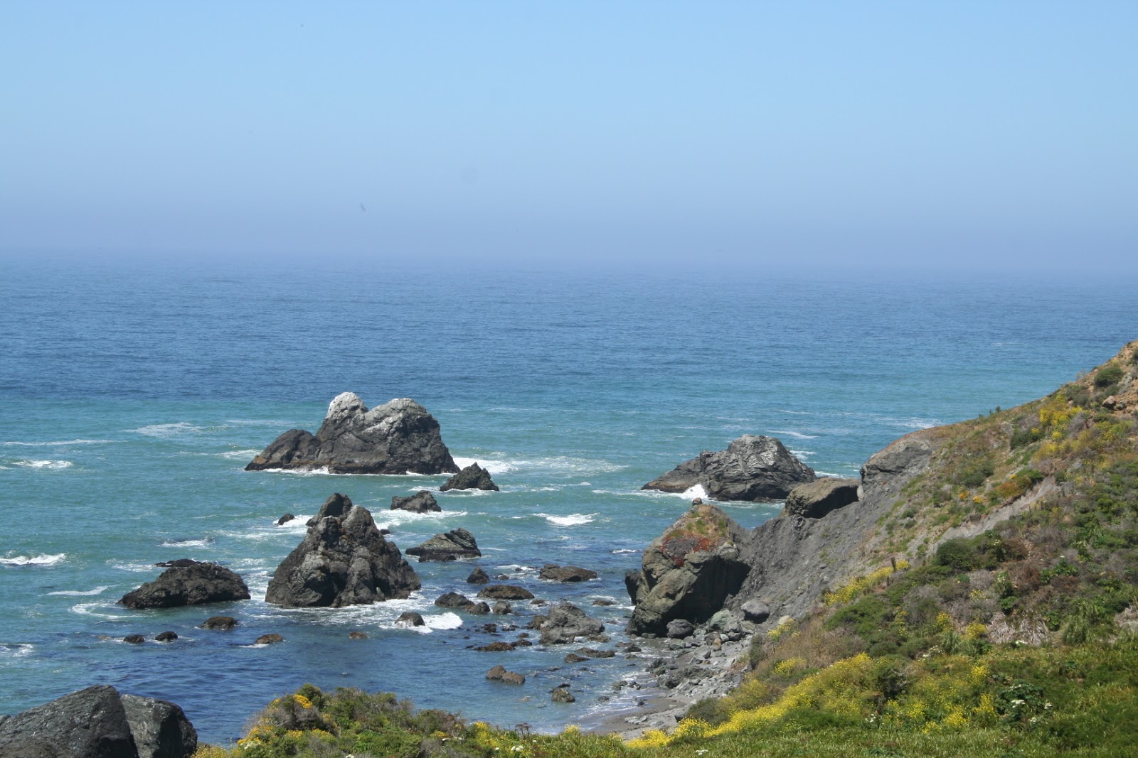 Bodega Bay Beaches...Great Summer Fun - TravelsandEscapes
