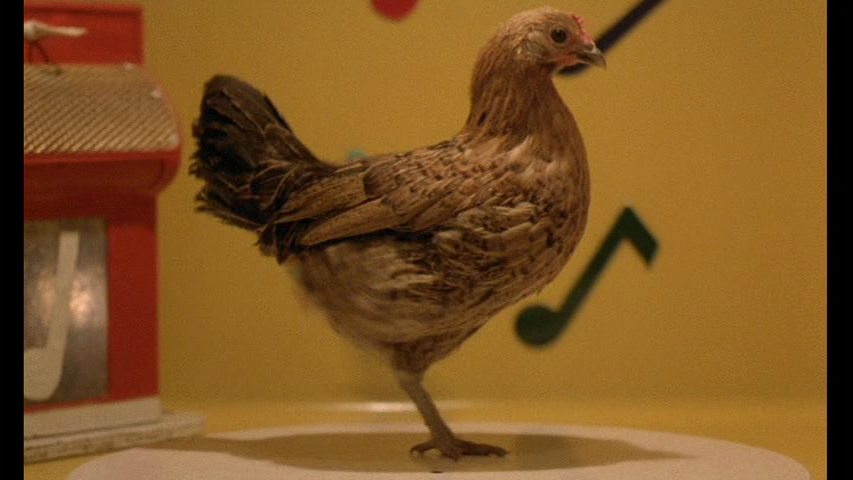 Stroszek - The Drowning Lullaby