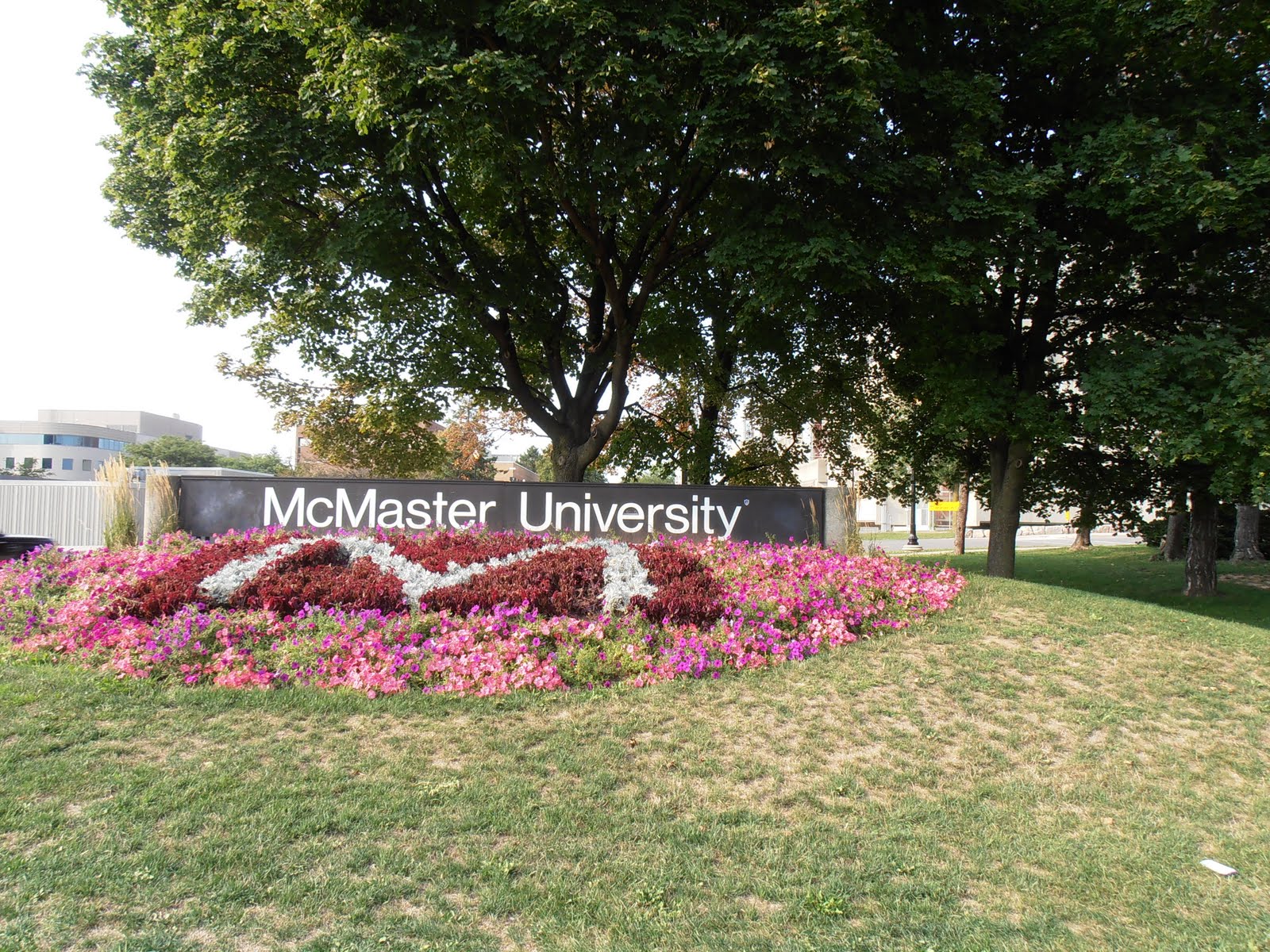 Study Abroad in Canada: The campus of McMaster University!