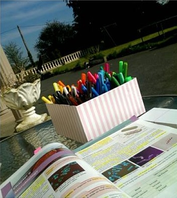 Study Notes By Kaz: Study Motivation