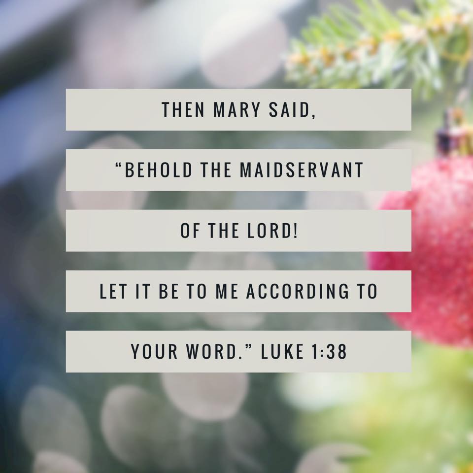 Growing Up In The Word : A Surrendered Heart