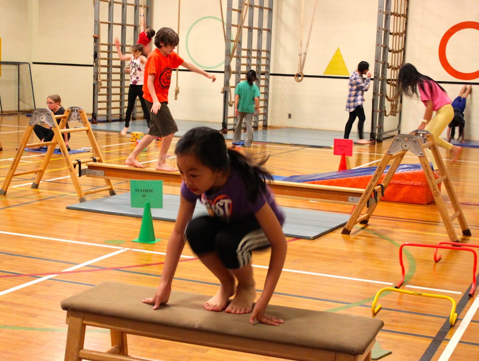 Dr. A. R. Lord Elementary School's PAC Blog: Gymnastics Week