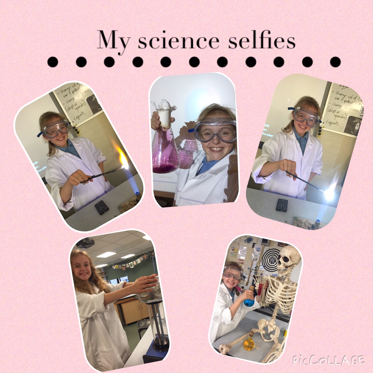 Newfold: Science Selfie Competition 2015