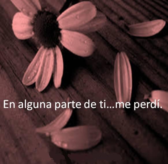 Imagenes con Frases: Me perdí