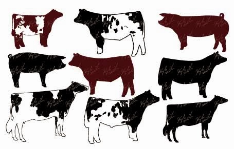 Kyle Lessman Design: Showstock Vectors
