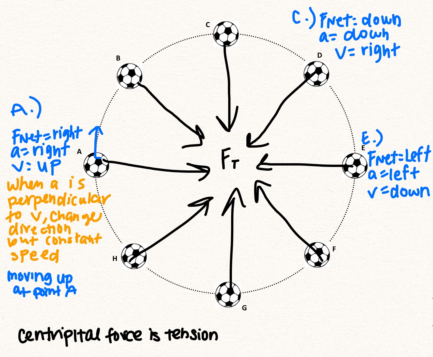 MaddyRinnPhysics: Forces in 2D and Circular Motion