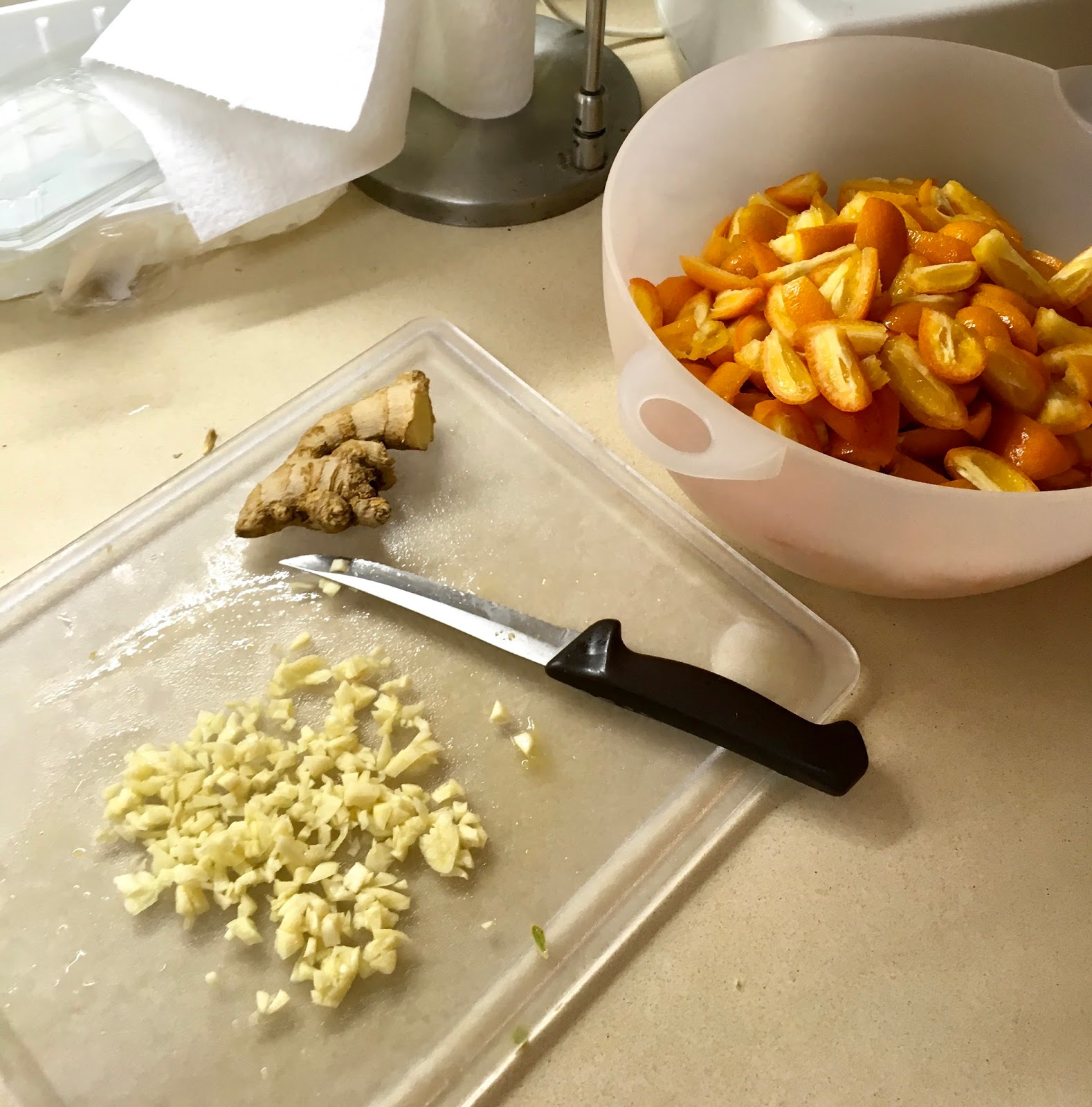 Mae's Food Blog: Janet's Passover Kitchen