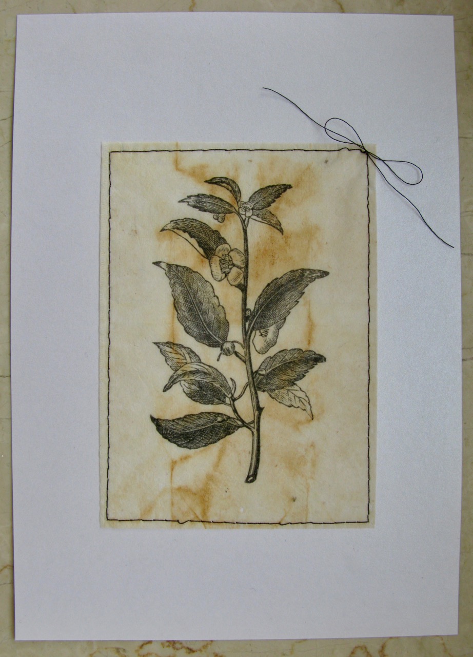 Siebensachen-zum-Selbermachen: Mein erster Muster-Mittwoch: Tee