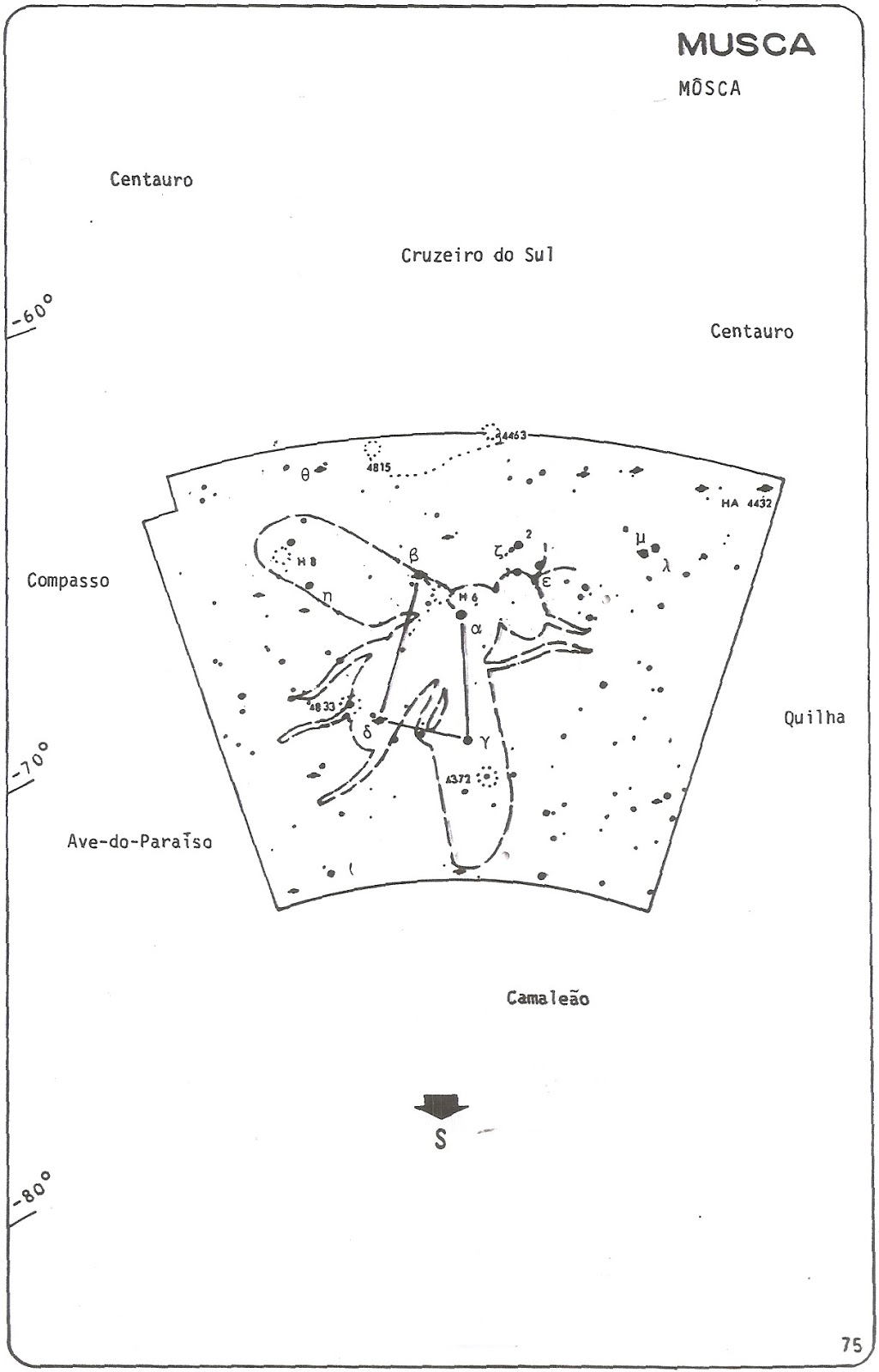 Da Terra ao Céu e ao Infinito - Algumas das 88 Constelações: MUSCA ...