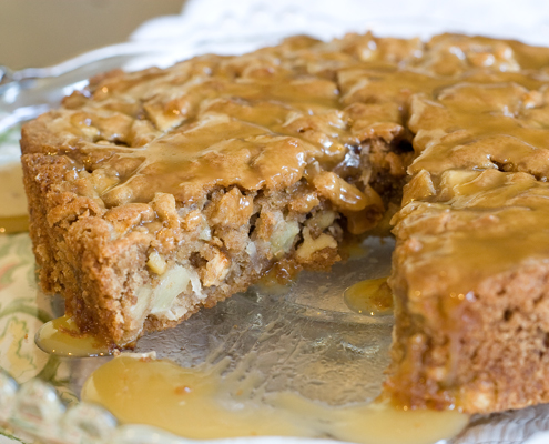 Sweet Savory Planet: Chunky Apple Coconut Cake