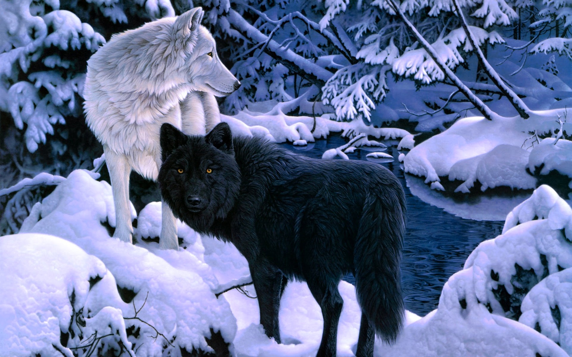 1920x1200px Wolf Screensavers and Wallpaper - WallpaperSafari