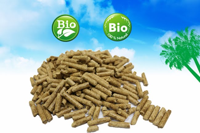 Introduction of Wood Pellets - BioFuel Wood Pellets