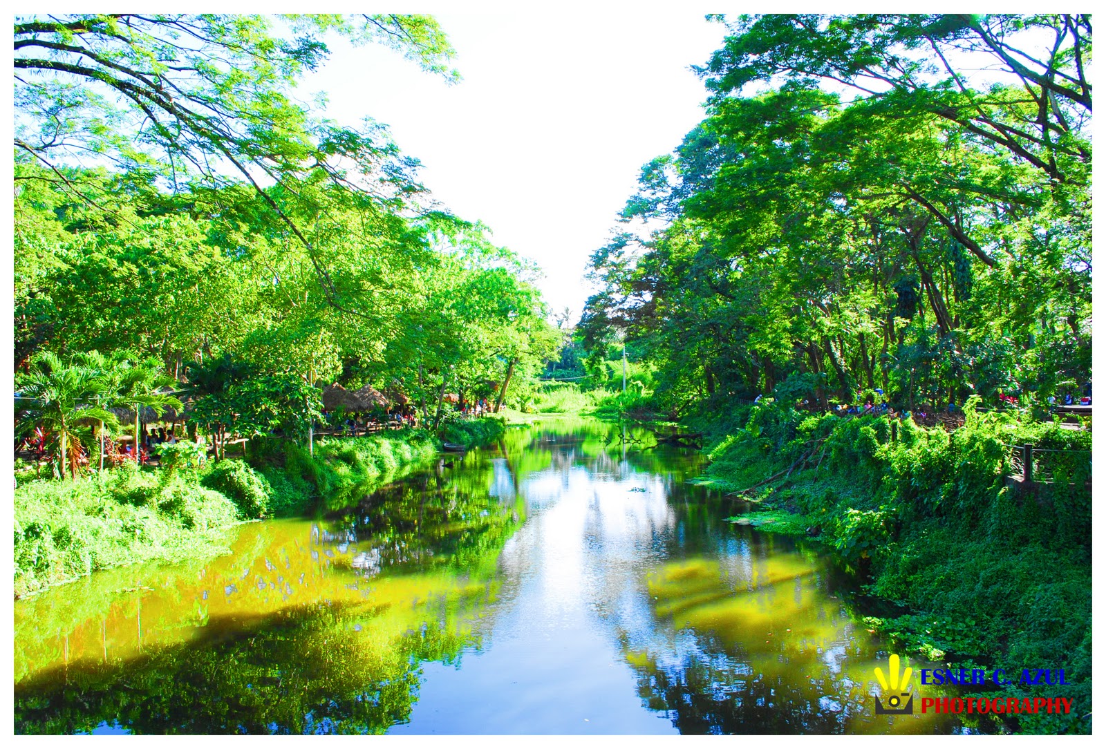 Wamboy Wanders: LAMESA ECOPARK TOUR: MY PARTICIPATION TO SAVING LA MESA ...