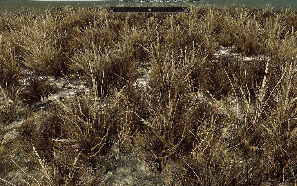Hoddminir Mod Development: Skyrim - Image Library of Textures with 3D grass