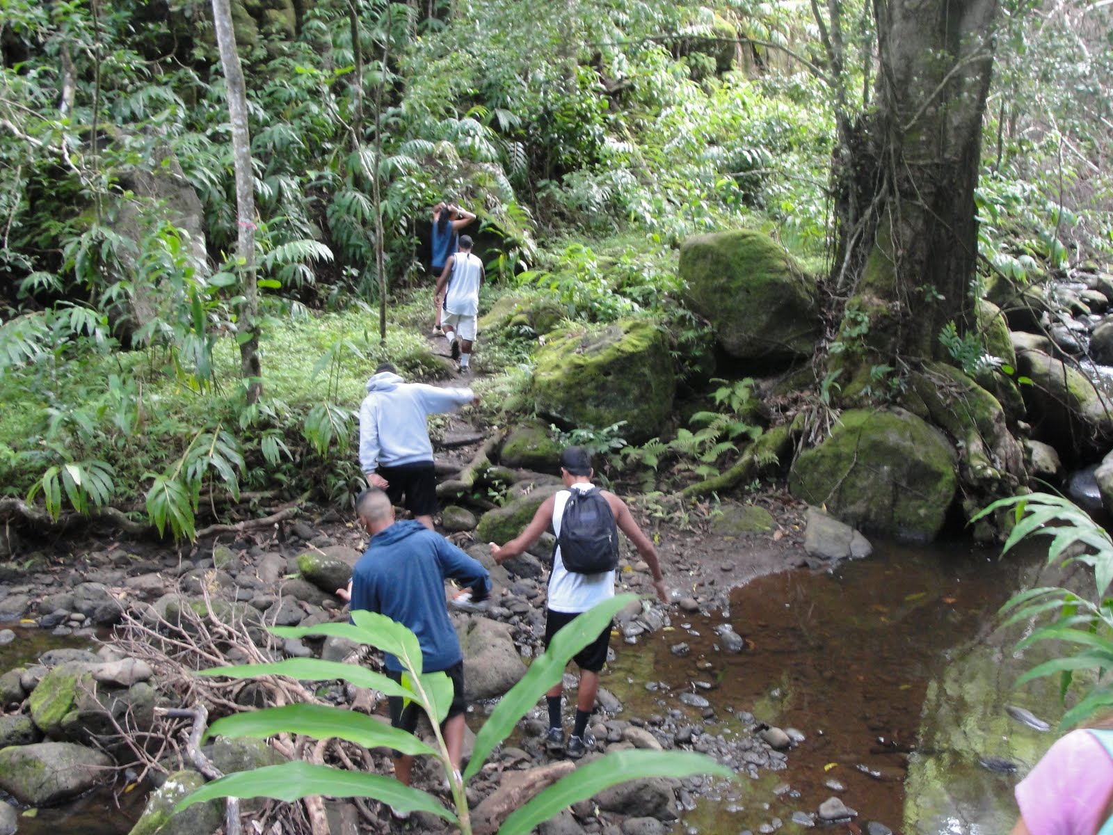808 Hiker Hui: Palolo Waterfalls With The HUI