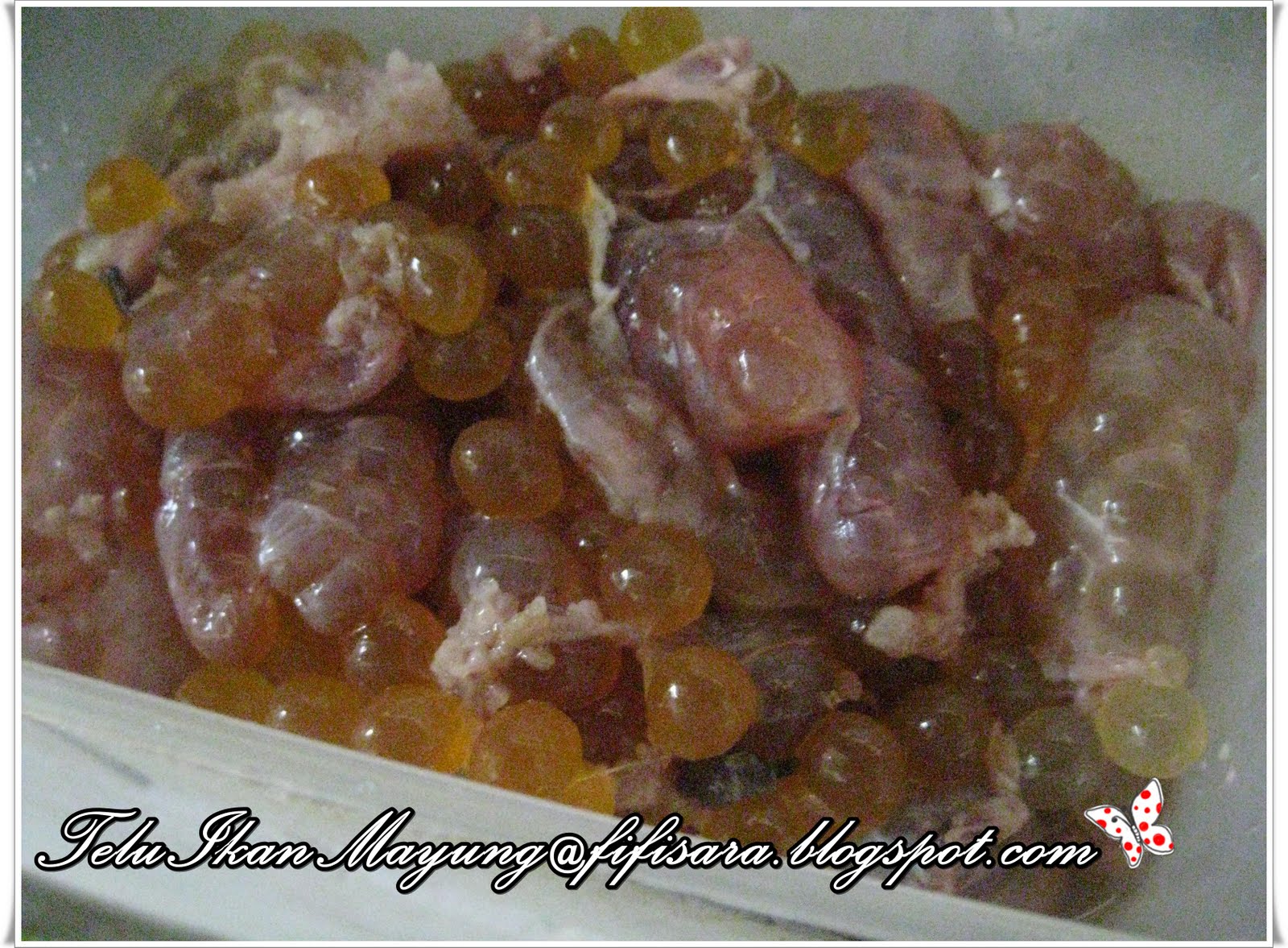 Melihat Dari Mata Hati: Telur Ikan Mayung@Bagok