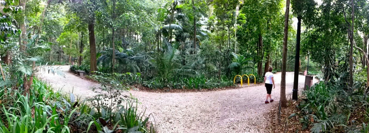 Parque Trianon ou Tenente Siqueira Campos em São Paulo ~ Áreas Verdes ...
