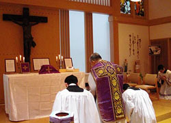 The Eponymous Flower: A Sign of Hope in Japan: Traditional Catholics