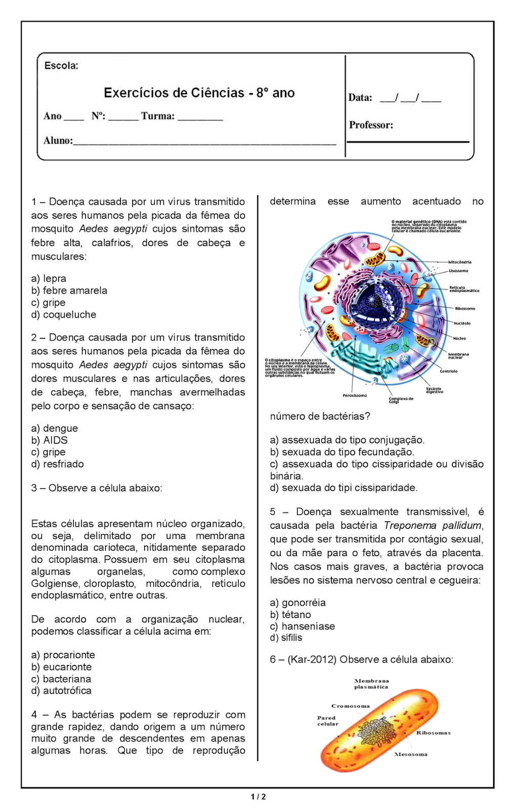 Atividade Ciencias 8 Ano - EDUCA Atividade Ciencias 8 Ano - EDUCA