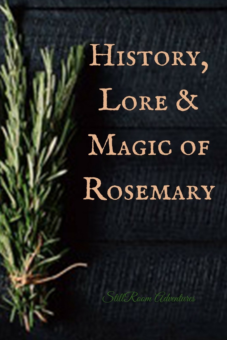 History, Lore and Magic of Rosemary