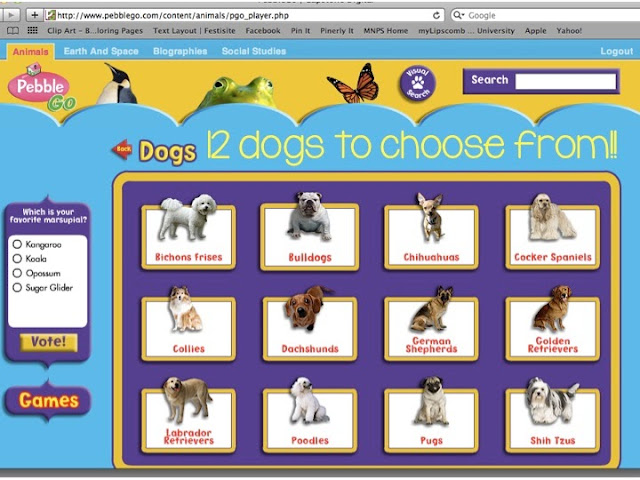 tattling to the teacher: back in the swing....