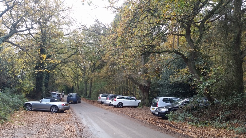 Lucy's Wednesday walks: Kinver Edge - a quick circuit