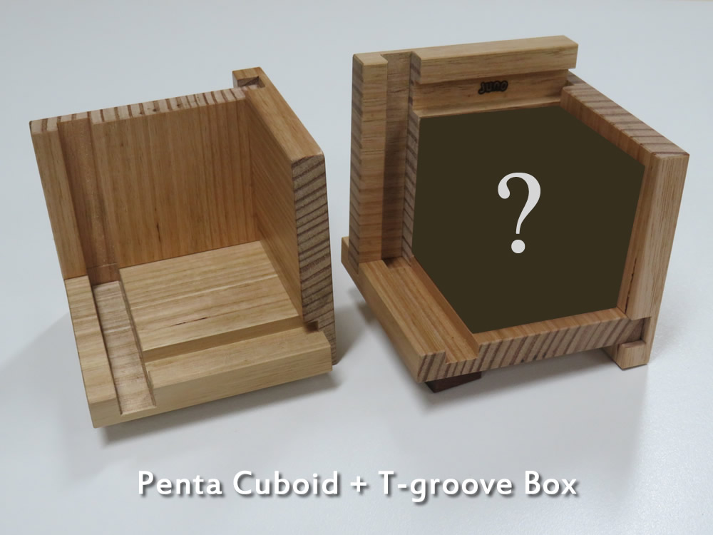 Pluredro blog: New Puzzle "Penta Cuboid + T-groove Box" Released