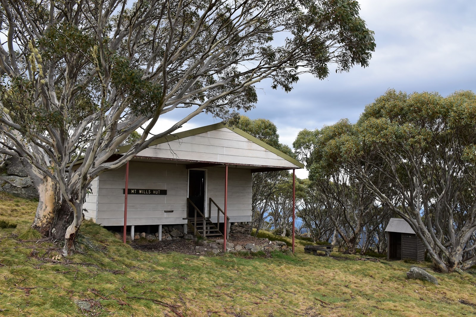 Goin' Feral One Day At A Time: Cleve Cole Hut to Mt Wills, AAWT, Alpine ...