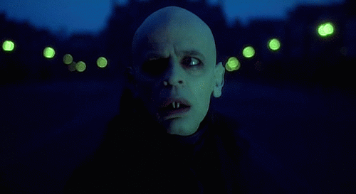 Antirationalistischer Block: Today's Best Scene Ever: Herzog, Nosferatu