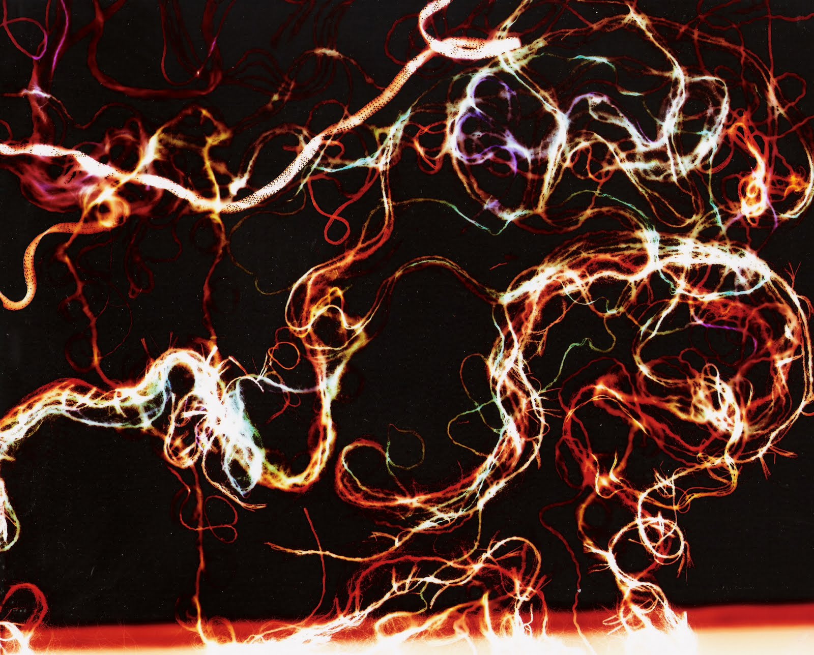 Flo’s Photography: Colour Photograms