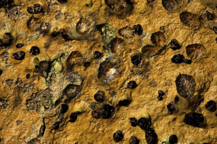 Ciência para Todos: Identificadas barreiras misteriosas à viagem das ...