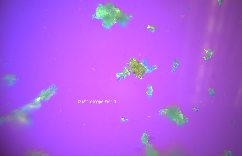 Microscope World Blog: Ginger under Polarizing Microscope