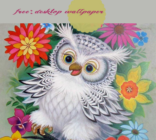 Spring Owl Desktop Background