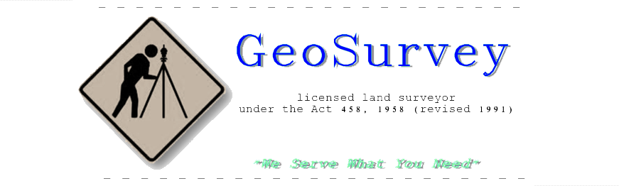 MY GeoSurvey