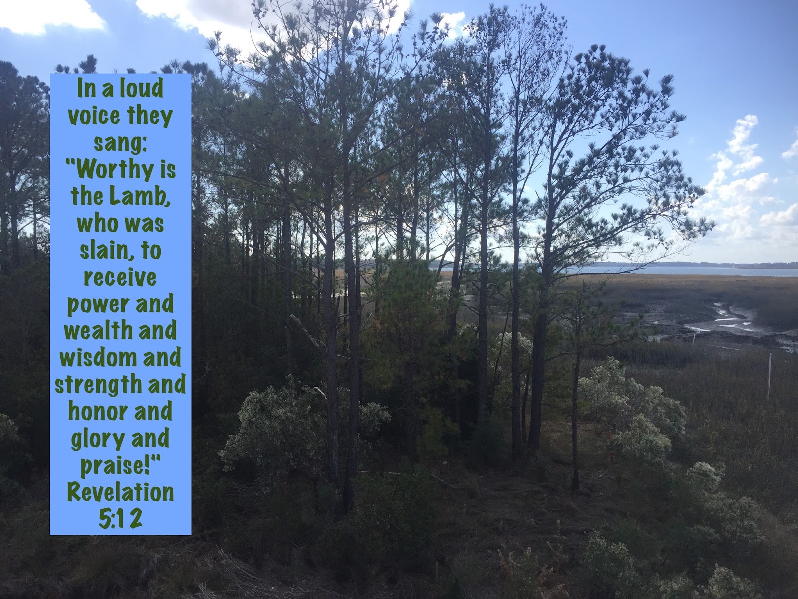 My Strength: Revelation 5:12 - "I Will Rise"