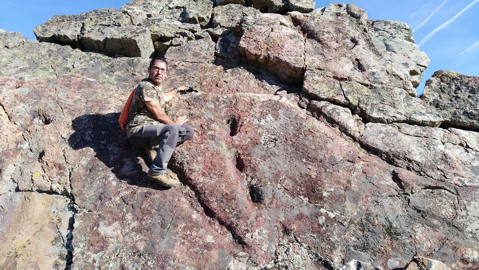 Arroba de los Montes: EL GUSANO GIGANTE FOSIL(Paleoficus tubularis) EN ...