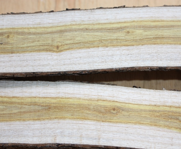 Wear the Warmth of Wood