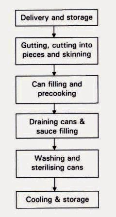 PROCESSING OF FOOD: Canning of fish