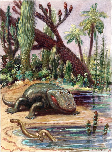 IMAGE(I)NARTE: el arte de la imaginación: CHARLES R. KNIGHT ...