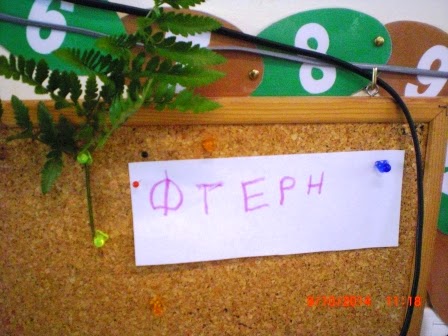 Πυθαγόρειο Νηπιαγωγείο: ΟΡΓΑΝΩΣΗ ΤΑΞΗΣ ΓΙΑ ΤΟ ΠΡΟΓΡΑΜΜΑ ΔΕΙΝΟΣΑΥΡΩΝ