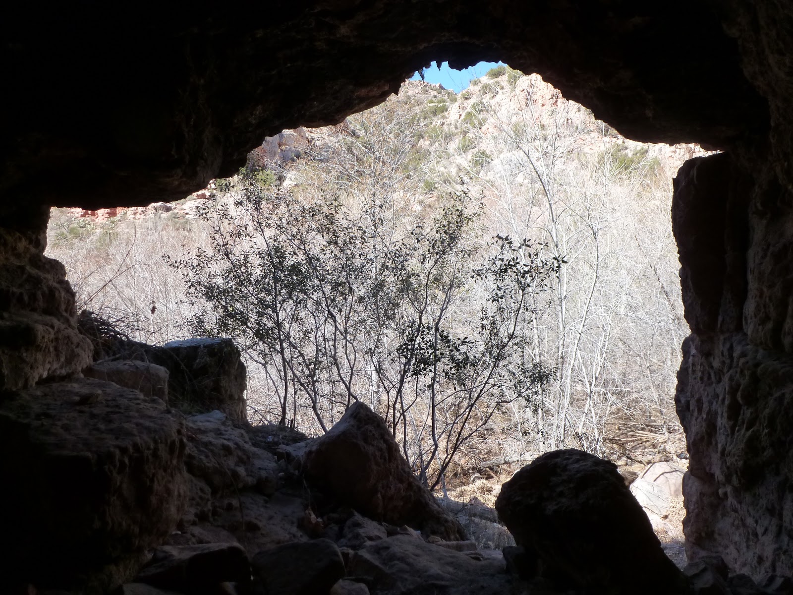 The Continuing Adventures of Eric, Noelle and Sierra: Coconino National ...