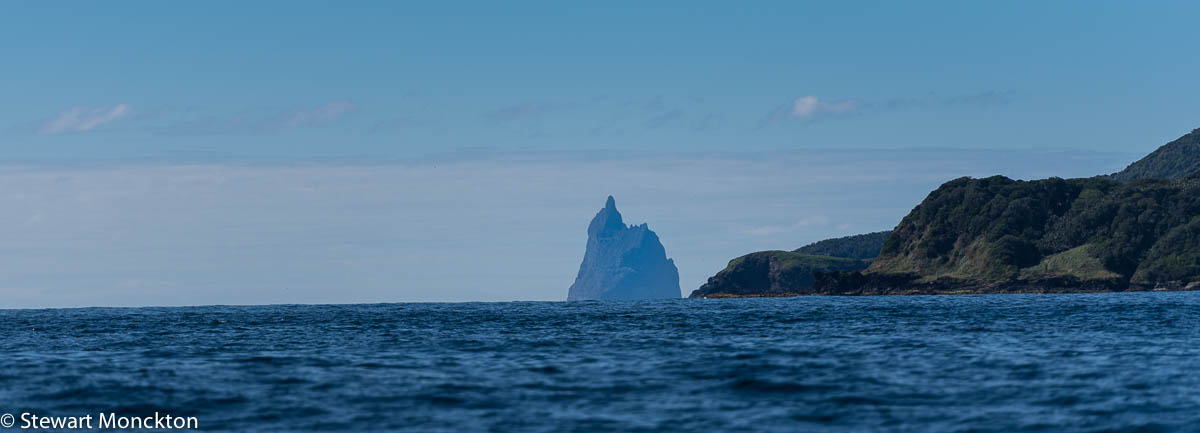 Paying Ready Attention - Photo Gallery: Ball's Pyramid