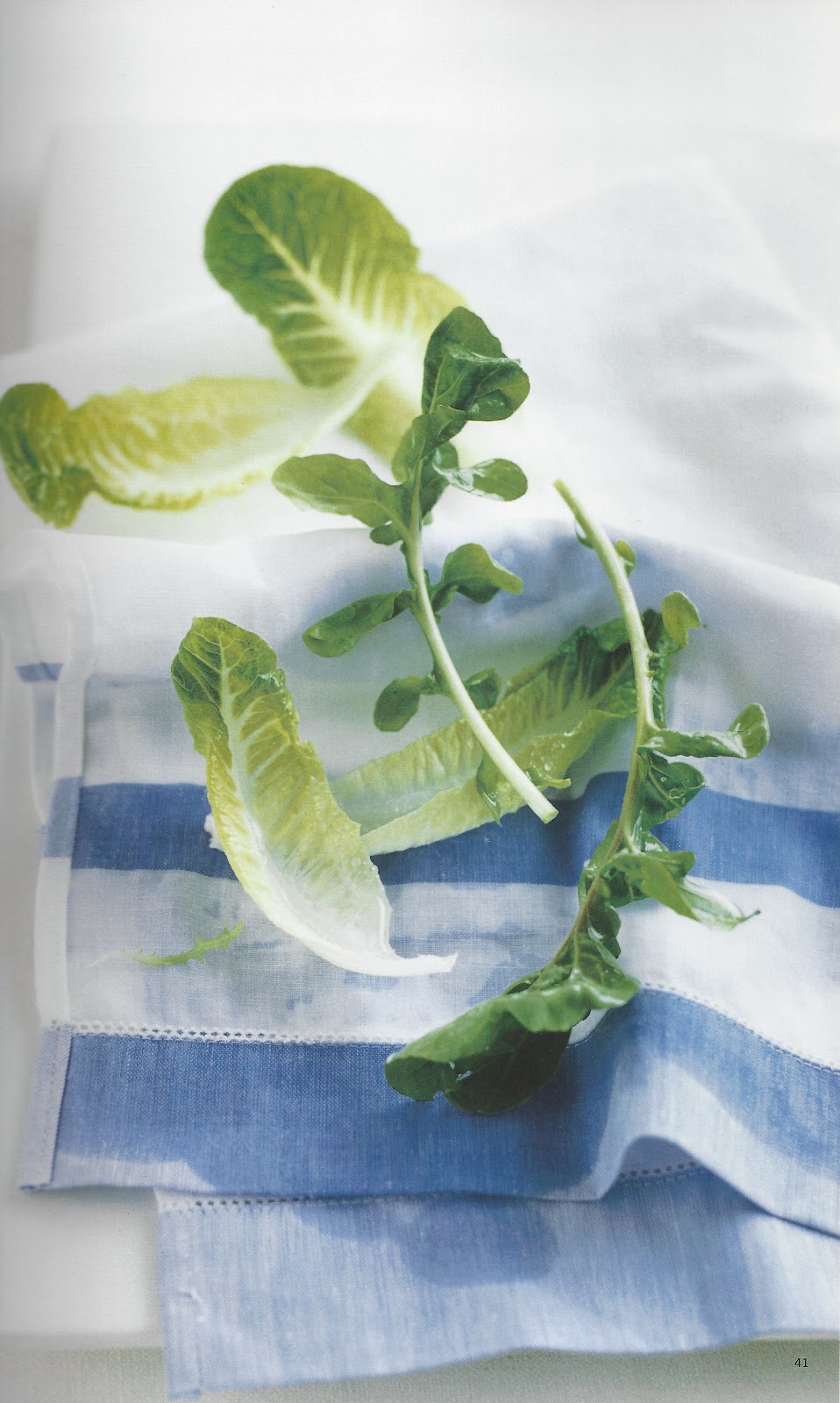The Polished Pebble: Beautiful Food Photography: Donna Hay Cookbooks