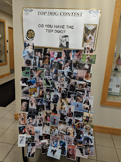 Franklin Matters: Franklin Residents: Reminder from the Town Clerk's ...