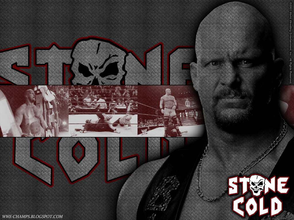 WWE CHAMPS: STONE COLD STEVE AUSTIN 'WHAT?'