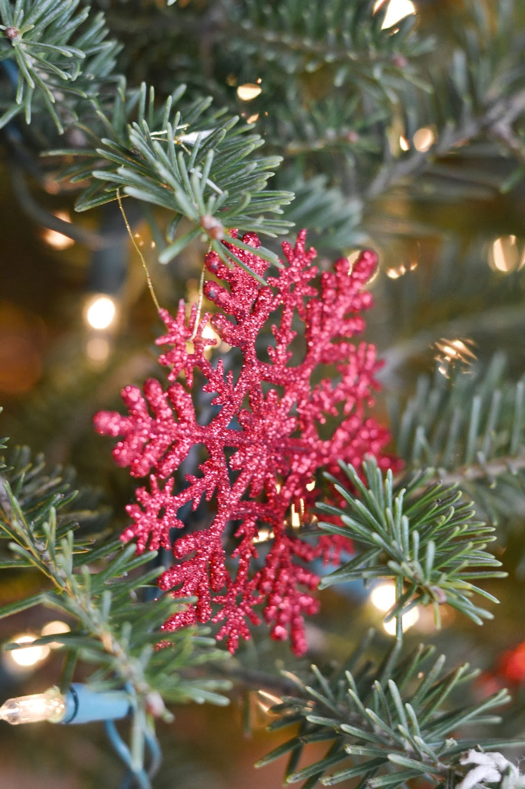 Home Serene Home : O Tannenbaum