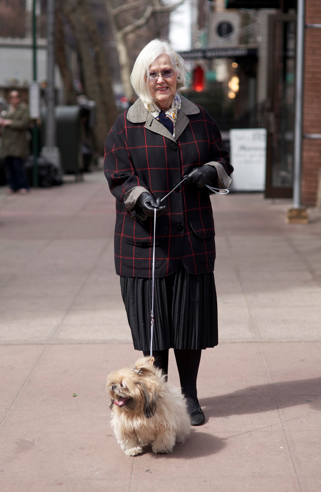Advanced Style Dogs | Celebrity-Lifestyle-Fashion